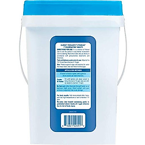 CLOROX Pool&Spa XtraBlue 1" Chlorinating Tabs, Kills bacteria (Perfect for small pools), 5lb