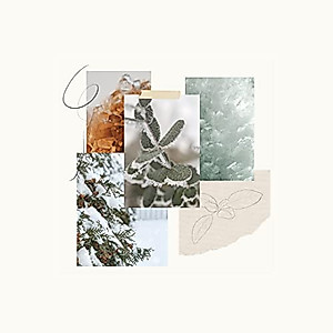 Thymes Highland Frost Travel Tin Candle - Petite Scented Candle with Sage, Eucalyptus, & Cypress Needle Home Fragrance - Silver Candle (2.5 oz)