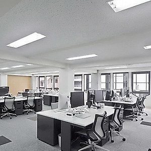 LUXRITE LR20730 (10-Pack) F32T8/841 32-Watt 4 FT T8 Fluorescent Tube Light Bulb, Cool White 4100K, 2800 Lumens, G13 Medium Bi-Pin Base