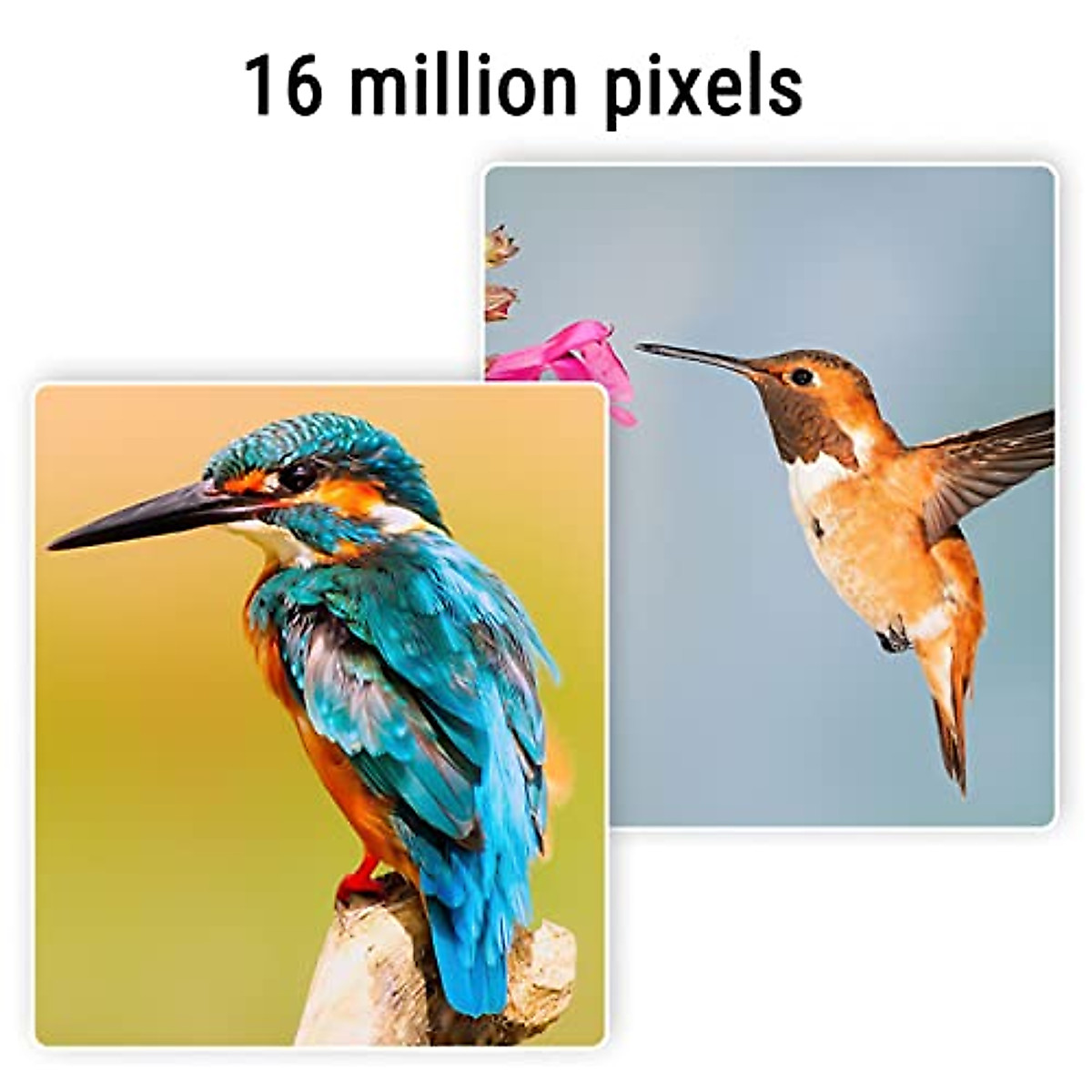 Digital Camera 16mp 2.4 Inch LCD Screen,Supports Up to 32g Sd Memory Card, 16x Digital Zoom 720p Digital Camera for Teens Students Boys Girls Seniors