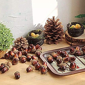 BigOtters 100 PCS Artificial Acorn, Fake Nutty Craft Acorns with Natural Acorn Cap Simulation Fruit Props for Vase Filler, Home House Autumn Favor, Thanksgiving Day Christmas Wedding Decor