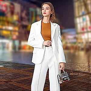 YING YUMEI Clear Purse for Women, Fashion Crossbody Clutch Handbag Cute, Small See Through Bag (Black)