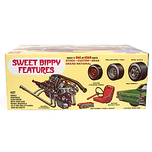 AMT 1966 Ford Galaxie Sweet Bippy 1:25 Scale Model Kit