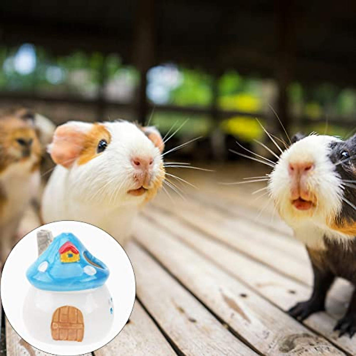 balacoo Ceramic Hamster Hideout Summer Cool Hamster Nest Mushroom Shape Pet Porcelain House for Mini Animals Guinea Pig Gerbil Ferret Syrian Hamster Chinchilla Rat