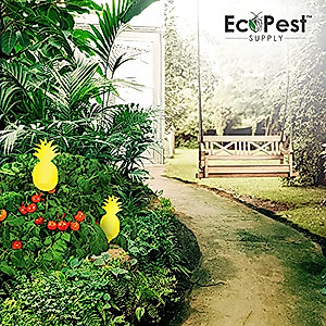 Sticky Fruit Fly and Gnat Traps – 12 Pack | Yellow Fly Paper Trap for House Plants and Gnat Sticky Traps for Fruit Flies, Fungus Gnats, and Other Flying Insects | Indoor and Outdoor Fly Tape