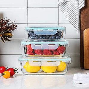 WHOLE HOUSEWARES | Glass Food Storage Containers Meal Prep Pack of 3 in Different Sizes | Food Storage Containers Glass With Lids Airtight | For Meal Prep and Fruit