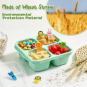 Bento Snack Boxes 4 Pack, Reusable Bento Boxes Kids Adults with 4 Compartments & Fork, Lunch Snack Containers, Wheat Straw Meal Prep Lunch Box, Divided Food Storage Containers for School Work Travel