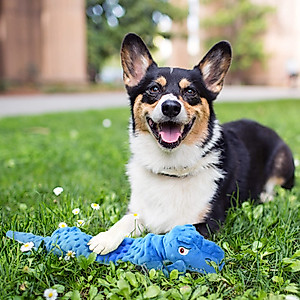 Senneny No Stuffing Dog Toys with Squeakers, Crinkle Plush Dog Toys for Large Medium Small Dogs, Durable Interactive Dog Toys for Puppies, Crocodile