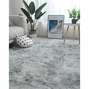 Rainlin Shaggy 3x5 Area Rug Modern Indoor Plush Fluffy Rugs, Extra Soft Comfy Carpets, Cute Cozy Area Rugs for Bedroom Living Room Girls Boys Kids, Grey