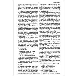 NIV, Holy Bible, Larger Print, Paperback