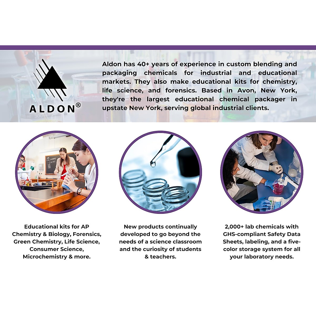 ALDON Innovating Science Introduction to Ionic Reactions - Explore Chemical Combinations & Observe Reactions - Distance Learning - Experiment Kit