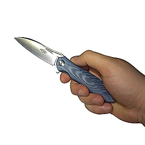 Firebird GANZO FH71 Folding Pocket Knife D2 Steel Flip Blade Anti-Slip G10 Handle with Clip Camping Hunting Gear Fishing Outdoor Folder EDC Knife (Grey)