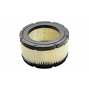 Tecumseh 37452 Air Filter