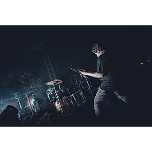 Dixon PAWS-BF-HP Bass Drum Felt Strip, 2 Pack