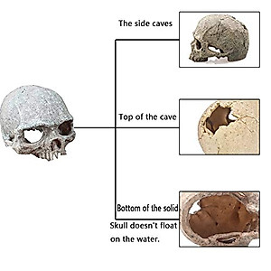 Tfwadmx Aquarium Skull Decor, Resin Fish Tank Decorations Cave Betta Fish Hiedout Reptile House for Small Fish,Shrimp