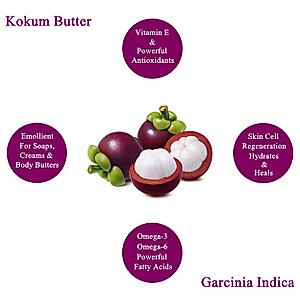 Raw Kokum Butter 3 lbs. Bulk 100% Pure Natural - Great for Skin, Body and Hair Moisturizer, DIY Creams, Balms, Lotions and Soap Making.