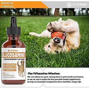 Glucosamine for Dogs | Supports Healthy Hips, Joints, & More | Glucosamine for Dogs Hip and Joint Supplement | Dog Glucosamine | Dog Joint Supplement | Glucosamine Chondroitin for Dogs | 1 fl oz