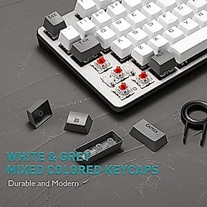AULA F3287 Wired TKL Rainbow Mechanical Gaming Keyboard, 80% Compact Tenkeyless 87 Keys Layout w/Tactile Red Switches, White & Grey Mixed-Color Keycaps, Programmable Macro Keys