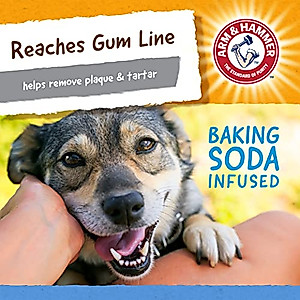 Arm & Hammer for Pets Nubbies Wishbone Dog Dental Toy| Best Dog Chew Toy for Moderate Chewers | Dog Dental Toy Helps Reduce Plaque & Tartar | Chicken Flavor Baking Soda (Pack of 1)