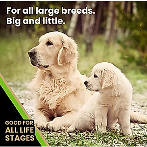 Victor Super Premium Dog Food – Elite Canine Dry Dog Food – 25% Protein, Gluten Free - for Large Breed Dogs & Puppies, 15lbs