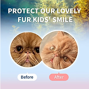 Cat L-Lysine Immune Supplement Antioxidan Essential Amino Acids Respiratory Cranberry Urinary Track Health Support Squinting Sneezing Runny Nose Squinting, Watery Eyes - 90 Packs