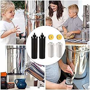 Water Filter Replacement Water Filtration System, Fluoride Filters 2 Pack and Black Filters 2 Pack