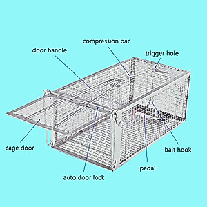 Chipmunk Trap Humane Live Cage Catch and Release Hamsters,Hook Design