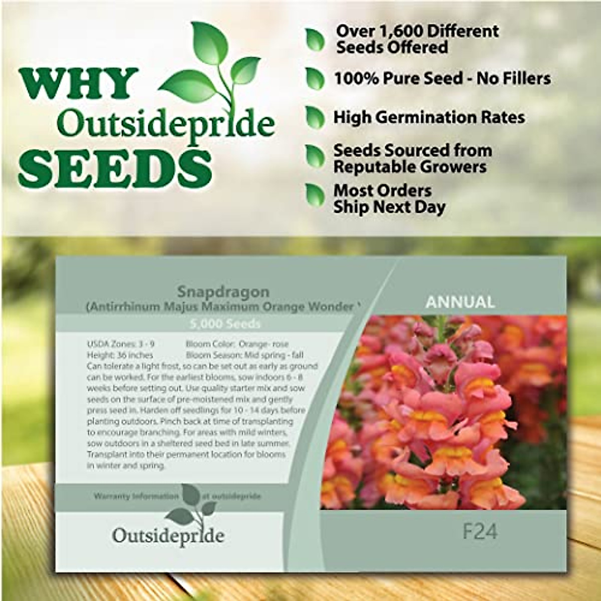 Outsidepride Antirrhinum Majus Snapdragon Orange Wonder Garden Cut Flower - 5000 Seeds