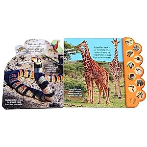 Discovery: Roar at the Zoo! (10-Button Sound Books) (Image on Book may slightly vary)