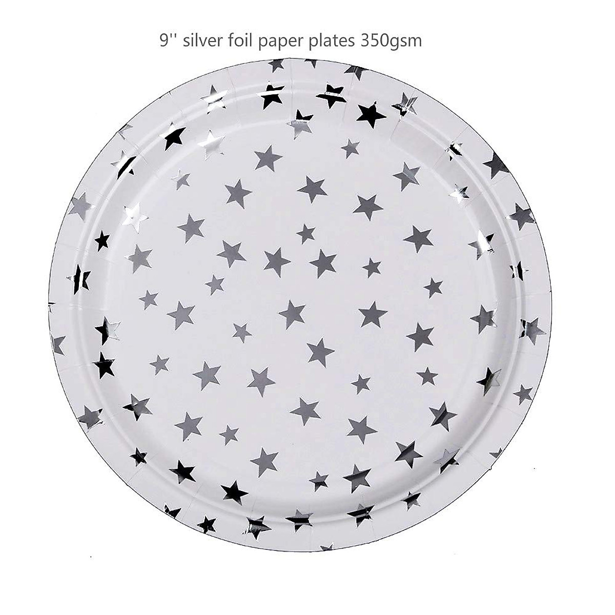Ottin White and Silver Stars Paper Plates 9'' 48 Counts Twinkle Twinkle Little Star Party Plates for Wedding Birthday Bridal Shower Christmas New Year Winter Party Mother's Day