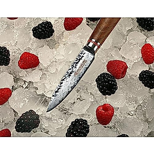 YOUSUNLONG Paring Knives 3.5 Inch - Japanese Hammered Damascus Steel Peeling Knife - Natural Walnut Wooden Handle