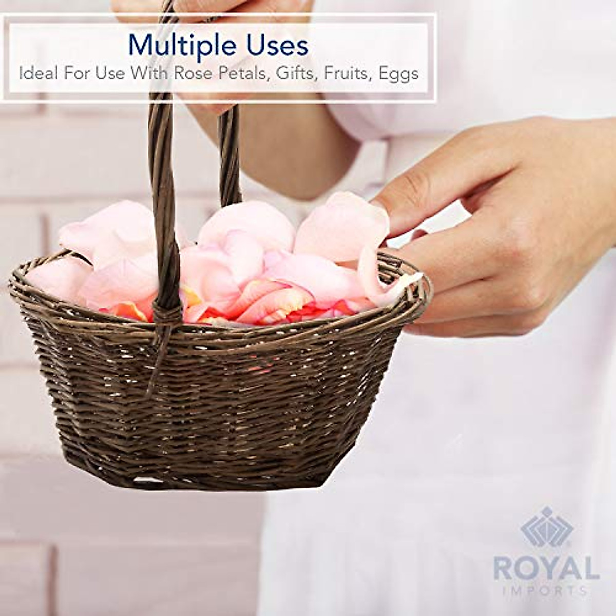 Royal Imports Willow Woven Braided Gift Basket for Easter, Baby Shower, Wedding Flower Girl - Small Oval w/Static Handle & Plastic Insert