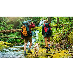 FITS Unisex Medium Hiker – Crew Sock, Striped, XL