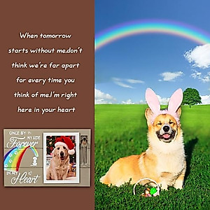 Pet Memorial Picture Frame for Dog, Pet Dog Rainbow Bridge Picture Frame with Ashes Urn, Fur Baby Passing Away Gifts to Dog Owners, Pet Loss Remembrance Photo Frame, Pet Puppy Keepsake to Condolences