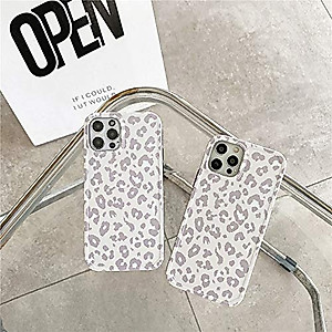 INS Cold Gray Leopard Print Soft Case for Apple iPhone 12 Pro Max with Fashion Frame Cute Design Skin Cellphone Accessories Protective Cover for iPhone 12 Pro Max 6.7 inch Cases