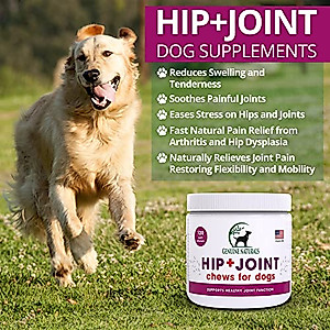 Genuine Naturals™ Hip and Joint Supplement for Dogs - Glucosamine Chondroitin, MSM, Organic Turmeric Soft Chews, Dog Vitamins, Supports Healthy Joint Function and Helps with Pain Relief,120 Count