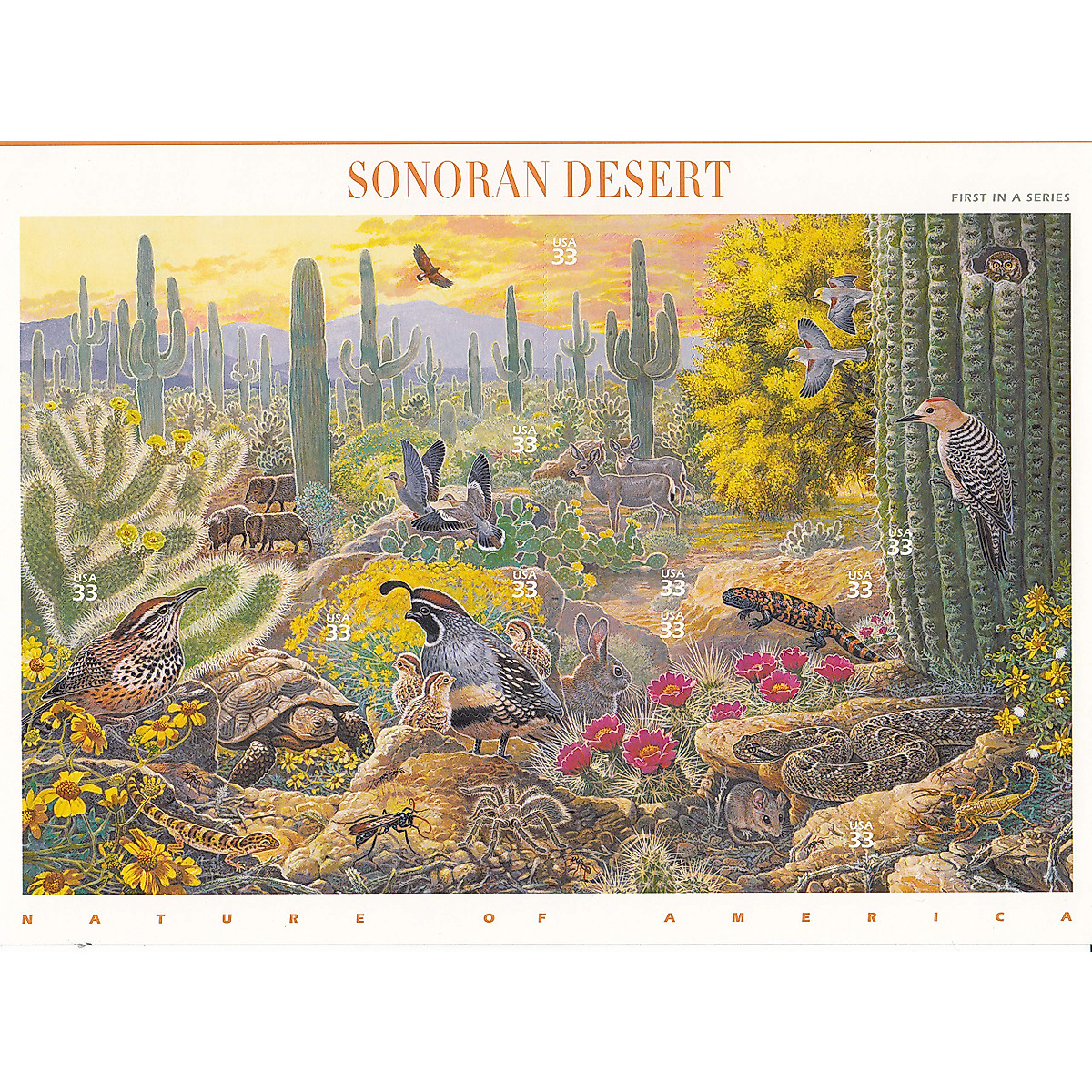 Postage Stamp US Scott 3293 Sonoran Desert Full Sheet of Ten 33 Cent Stamps