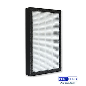 PUREBURG FLT4100 True HEPA Replacement Filter Set Compatible with GermGuardian AC4100 AC4100CA AC4150BL AC4150PCA AC4150PC AC4175W Air Purifiers,Part Number FLT4100, Filter E,FLT11CB4