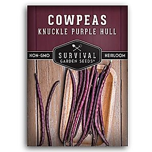 Survival Garden Seeds - Knuckle Purple Hull Cowpeas Seed for Planting - Packet with Instructions to Plant and Grow Delicious & Nutritious Peas in Your Home Vegetable Garden - Non-GMO Heirloom Variety