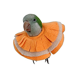RRRIOT Adjustable Parrot Cone Collar, Safe and Practical Cotton Collar to Prevent Bites and Licking Wounds, to Help heal (2XL)