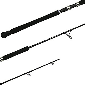 Shimano Terez Spinning Saltwater|Spinning Fishing Rods, 1pc - Power: Medium HVY - Action: Fast [TZS69MH], Length: 6'9