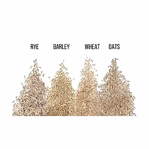 Cat Grass Seeds for Growing | 4 Way Blend, Rye, Wheat, Oats and Barley | Made in USA, Ships from Iowa. (5 Pounds)