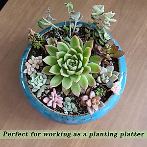 ARTKETTY Succulent Pots, 7.3 Inch Succulent Planter Pots with Drainage Pack of 2, Shallow Bonsai Pots with Tray Ceramic Pots for Indoor Plants Large Cactus Flower Plant Bowl