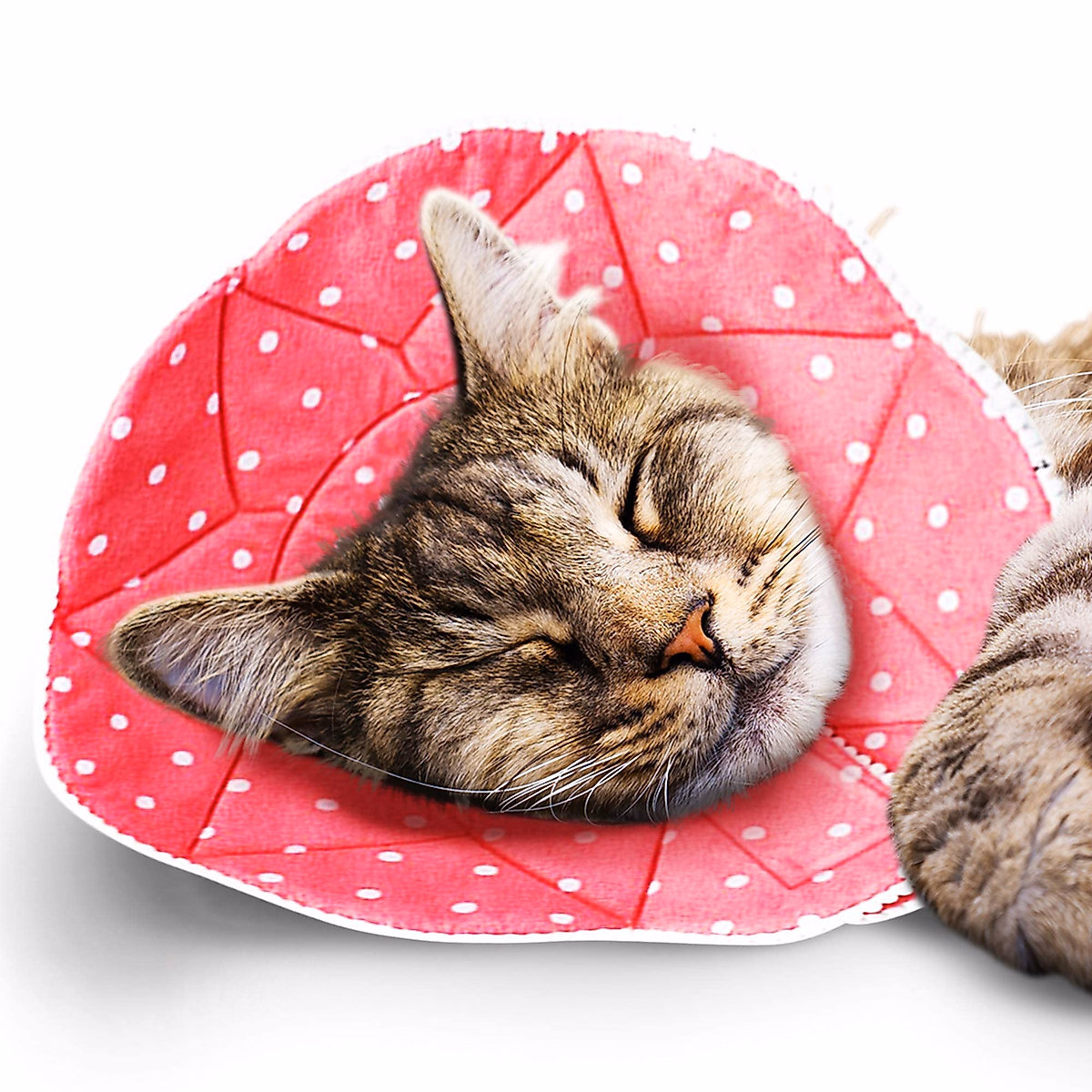 SunGrow Cat Cone Collar Soft Washable, Cat Recovery E Collar Sleep Cone After Surgery to Stop Licking, Pet Cone of Shame Alternatives, Scratch & Bite Proof Grooming Soft Cone for Easy Nail Cutting