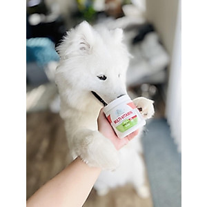 Four Paws Healthy Promise Dog Multivitamin Soft Chews 120 Count