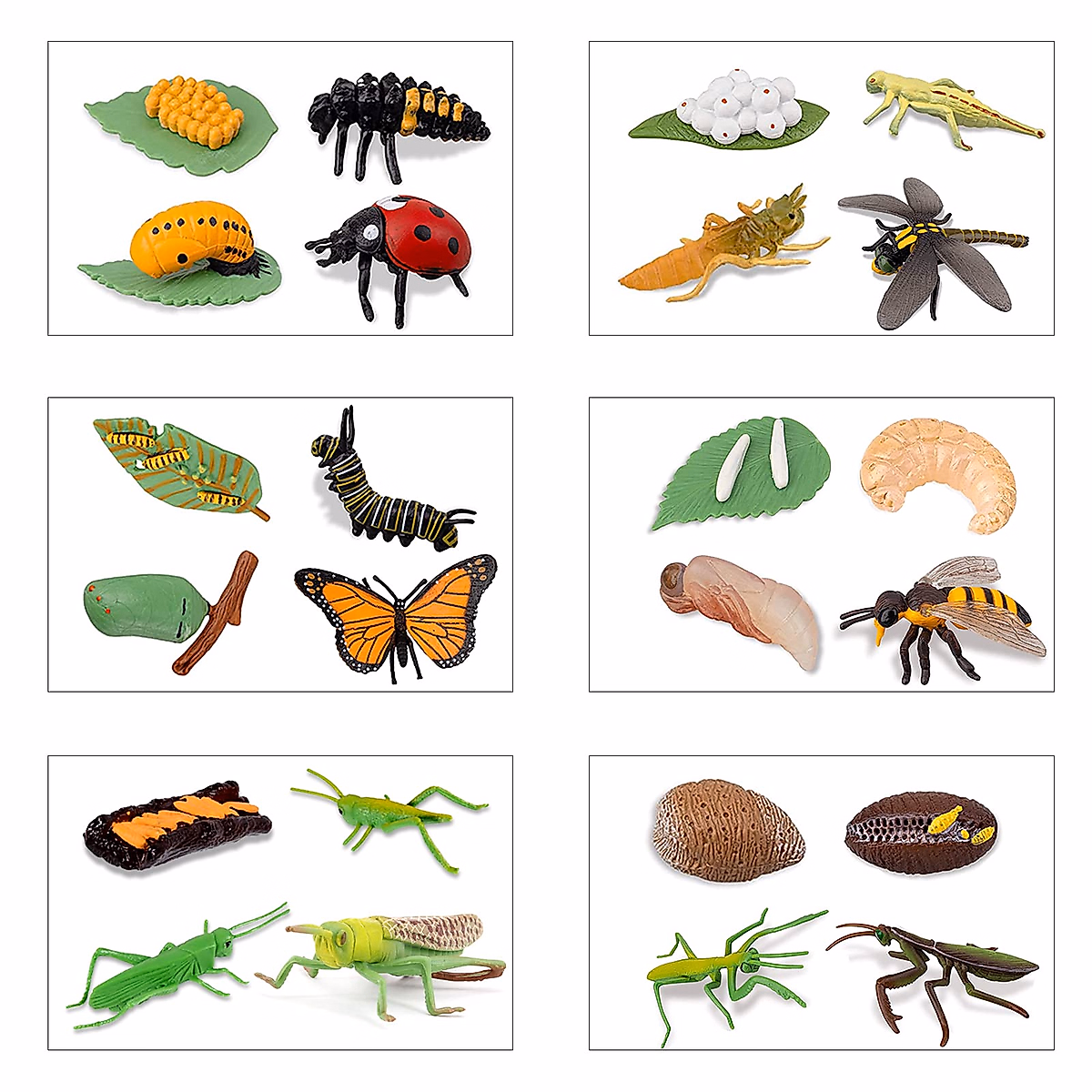 Odowalker 24PCS Life Cycle Figures,Insect Figurines Life Cycle of Monarch Butterfly,Honey Bee,Ladybug,Praying Mantis,Dragonfly,Grasshopper Safariology Bug Figures Kits Educational School Project