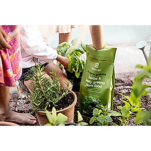 EcoScraps for Organic Gardening Herbs and Leafy Greens Plant Food, 4 lbs