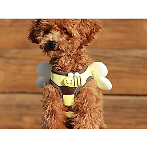 Fashionable Harness for Dog and cat, Honey bee Harness, Simple Fashionable Harness for Small Size Dog and cat (Harness only) (Honey Bee Harness, Medium)