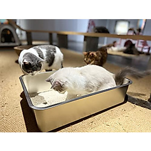 IKITCHEN Stainless Steel Cat Litter Box, Large Metal Litter Box for Cats Rabbits Never Absorbs Odors Anti-Slip Rubber Bottom (Silver, 23.5" x 15.5" x 6")