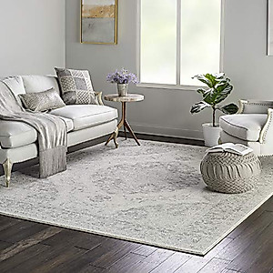 Nourison Tranquil Persian Ivory/Grey 8' x 10' Area -Rug, Easy -Cleaning, Non Shedding, Bed Room, Living Room, Dining Room, Kitchen (8x10)
